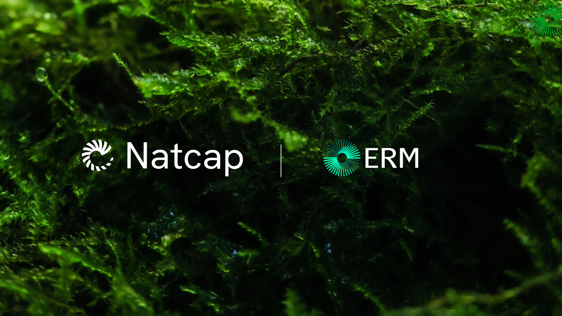 Natcap and ERM Partner to Deliver Science-Based Nature Intelligence for ...