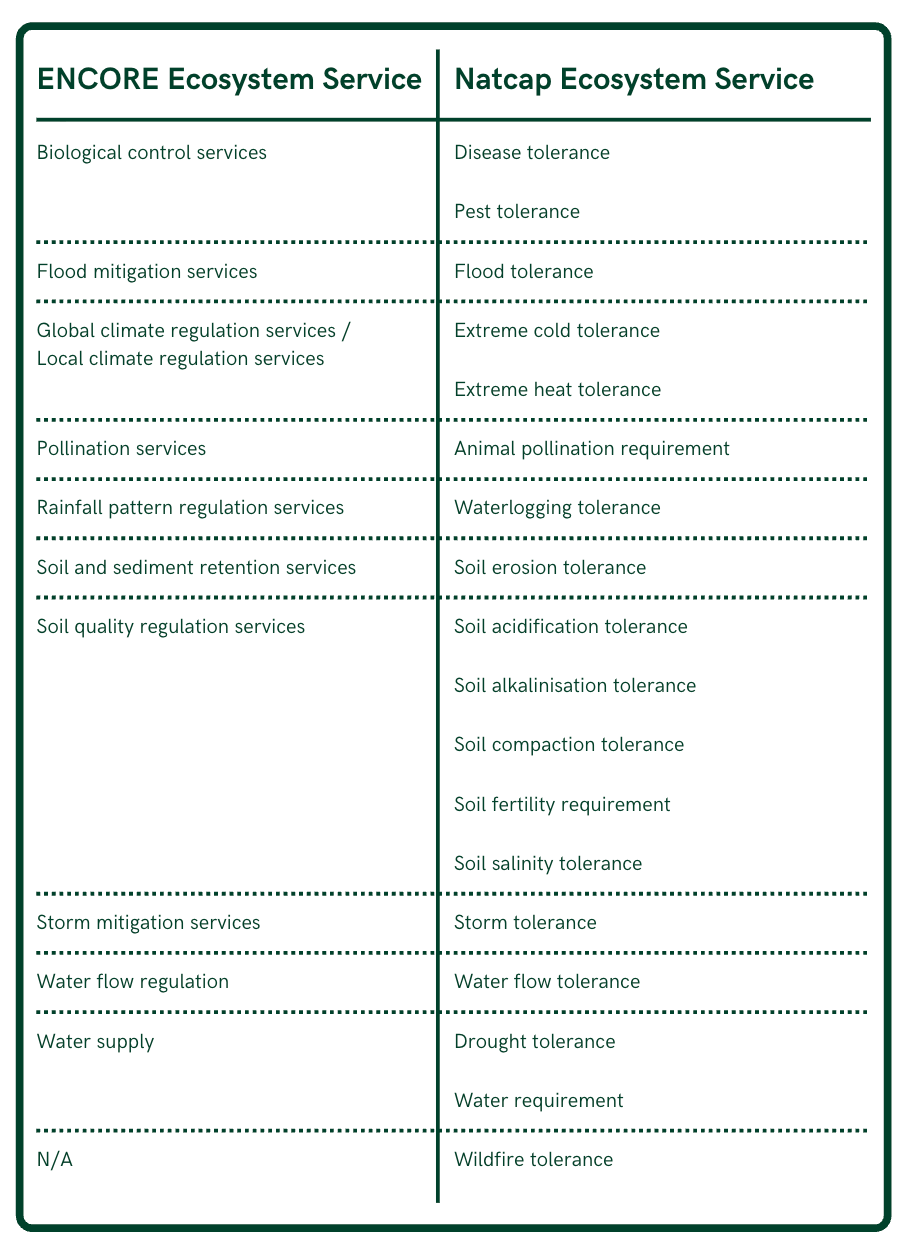 Natcap vs. ENCORE: How Do They Compare?